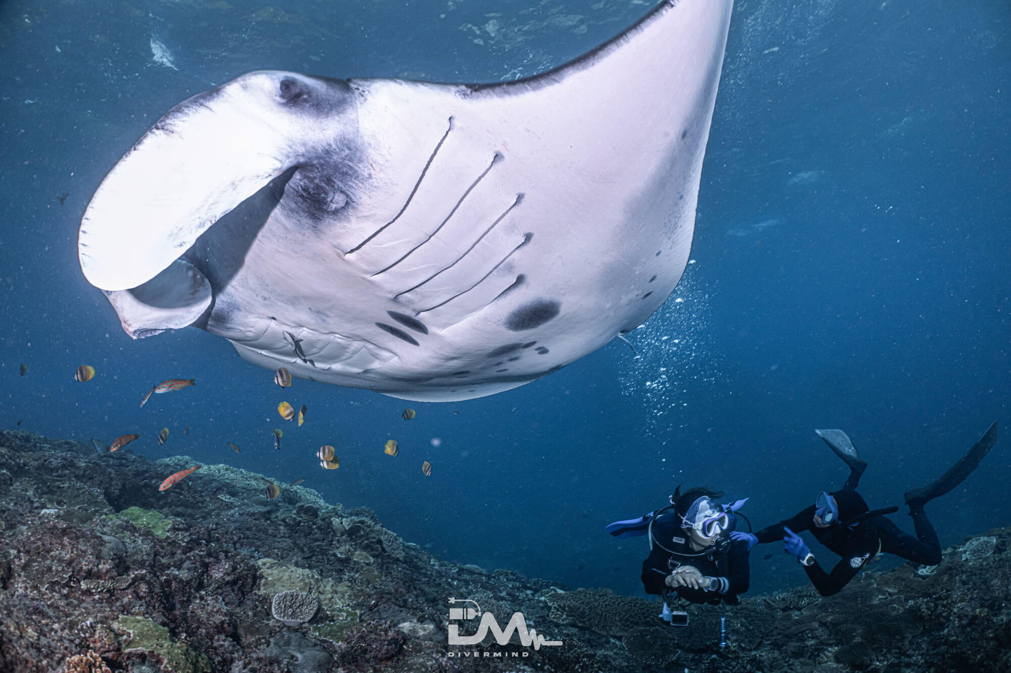 Go Dive - Bali Diving Day Trips and Scuba Packages